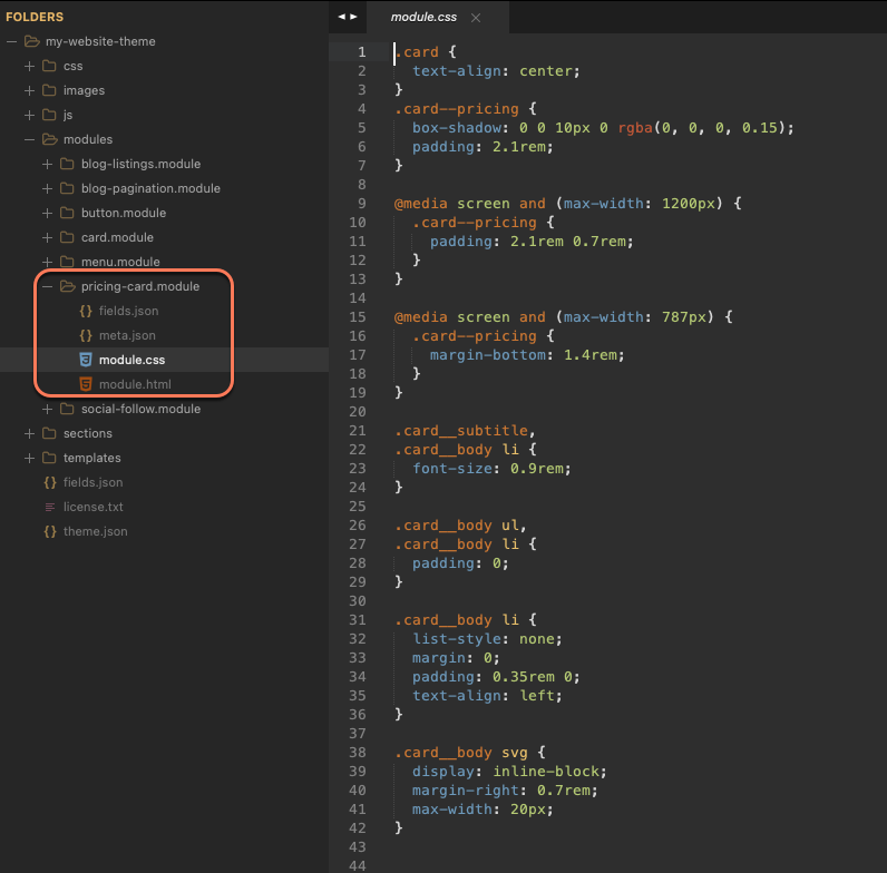 Coding Custom Modules 